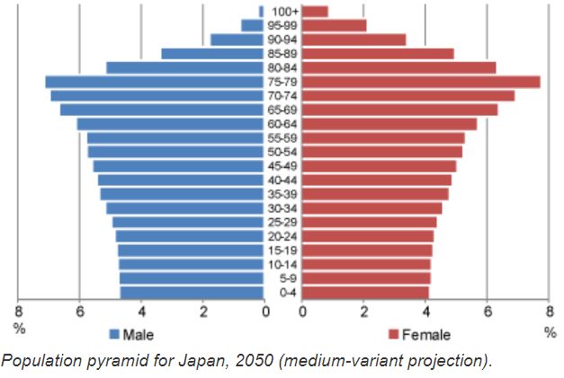 This Is A Projection Of The Age Sex Pyramid Of Japan What Can We Say