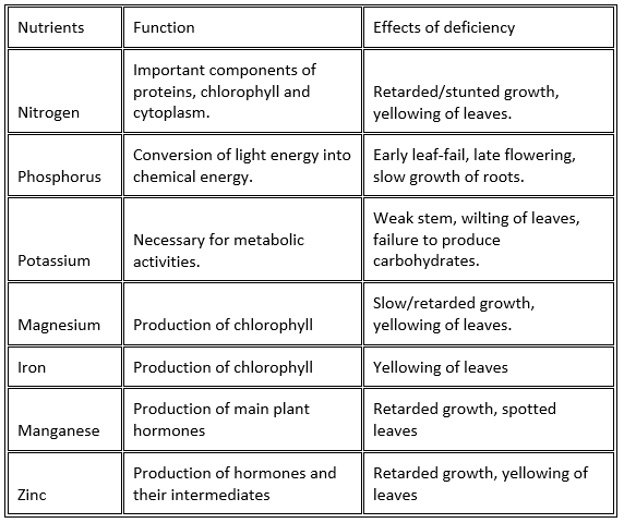 Write The Role Of Different Nutrients Like Nitrogen Phosphorus