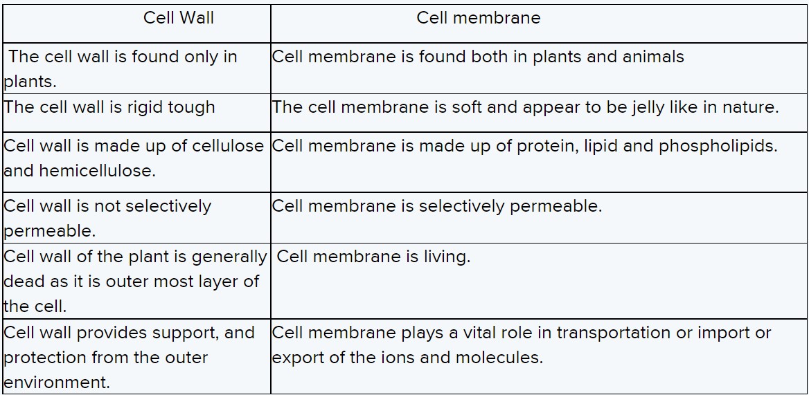 State The Difference Betweena Nucleus And Nucleolusb Cytoplasm And