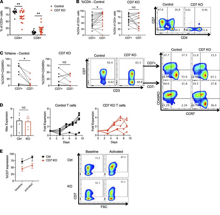 Jci Insight Cd7 Deleted Hematopoietic Stem Cells Can Restore Immunity