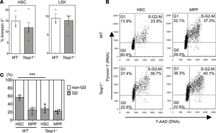 Jci Insight Taspase1 Orchestrates Fetal Liver Hematopoietic Stem Cell