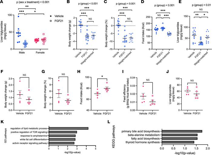 Jci Insight Fgf21 Controls Hepatic Lipid Metabolism Via Sex Dependent