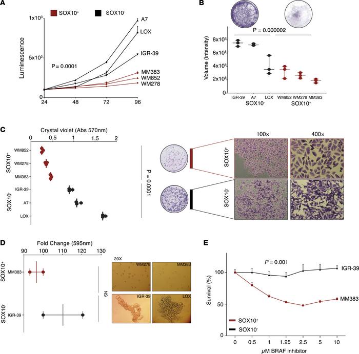 Jci Insight Dna Promoter Hypermethylation Of Melanocyte Lineage Genes