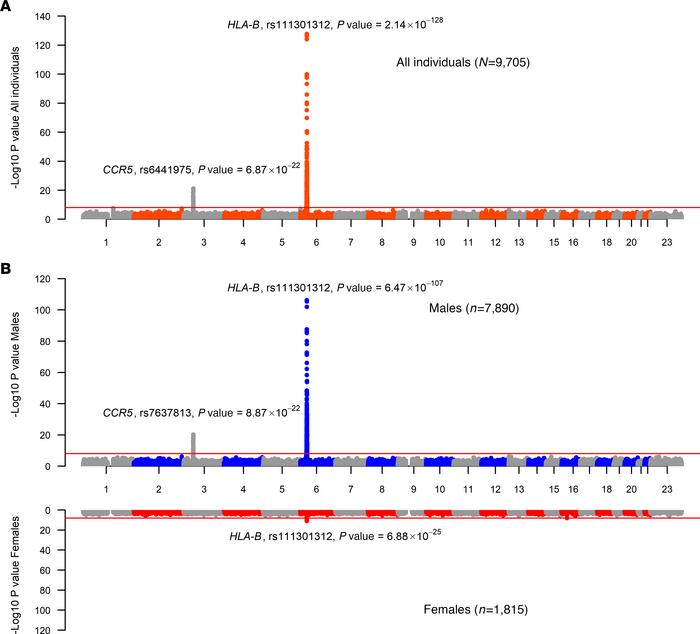 Jci Insight Multiancestry Sex Stratified Genomic Associations With