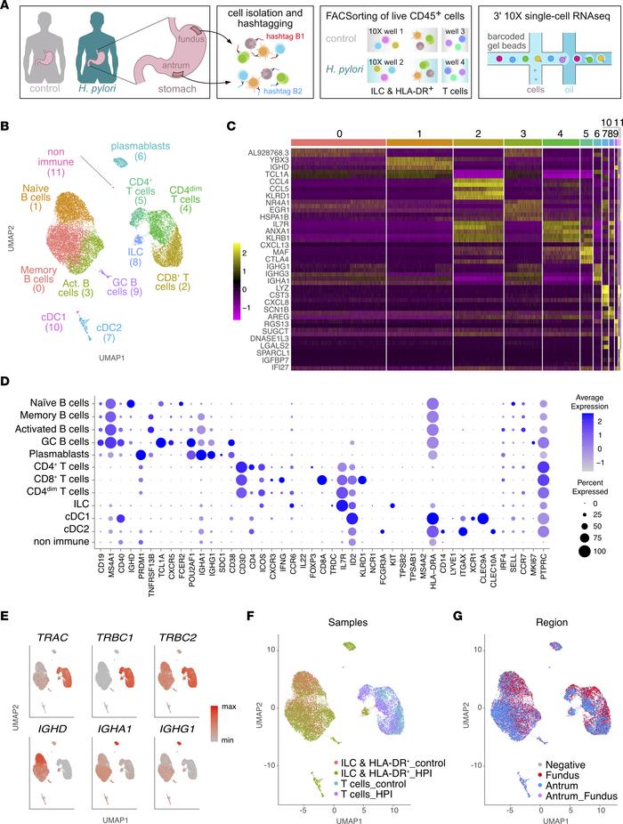 Jci Insight Metagenomic And Single Cell Rna Seq Survey Of The