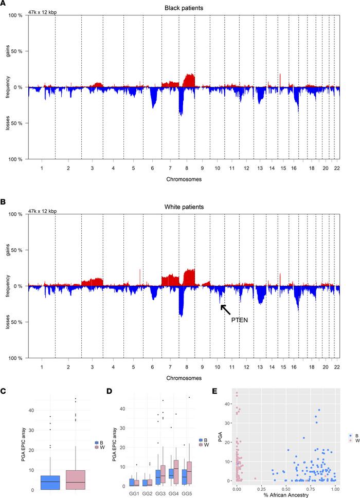 Jci Insight Association Of Self Identified Race And Genetic Ancestry