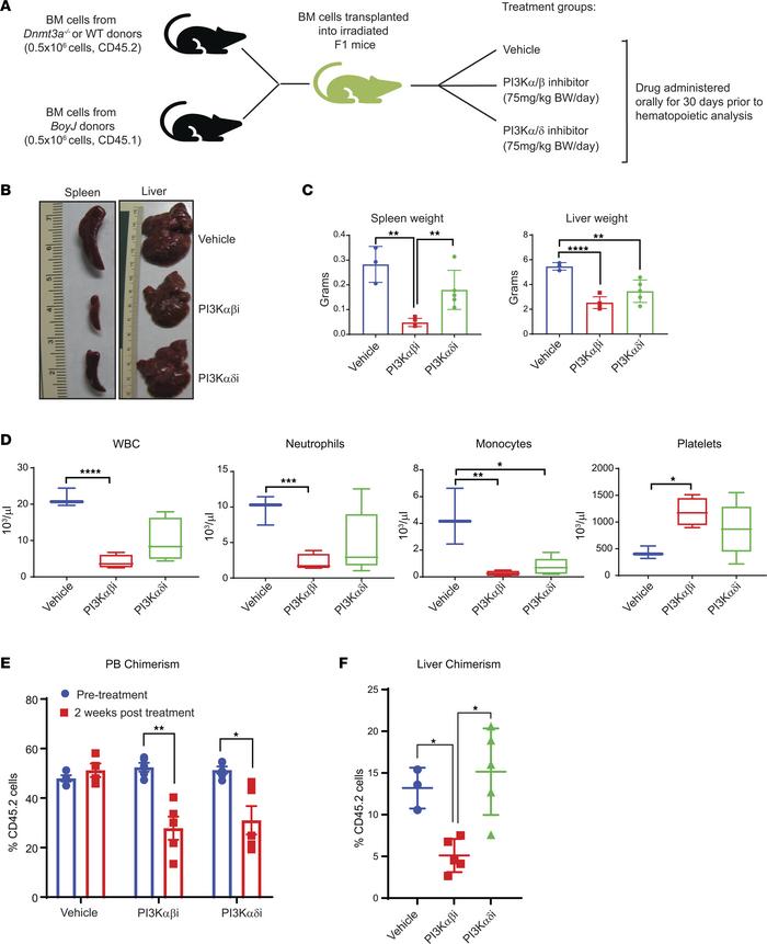 Jci Insight Loss Of Dnmt3a Impairs Hematopoietic Homeostasis And