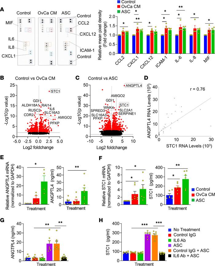 Jci Insight Cancer Associated Mesothelial Cellderived Angptl4 And