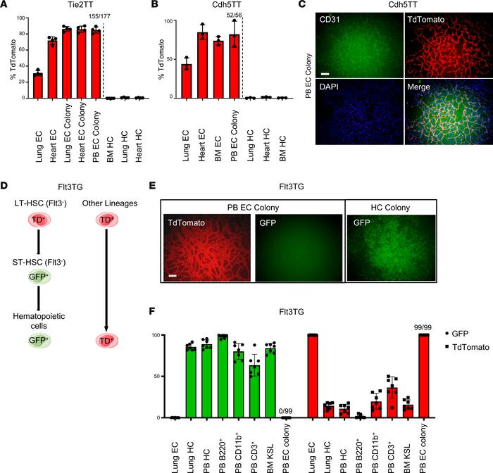 Jci Insight Origin Prospective Identification And Function Of