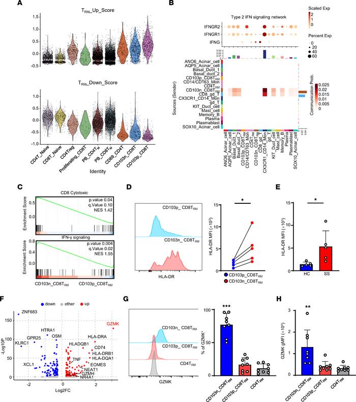 Jci Insight Single Cell Profiling Reveals Pathogenic Role And