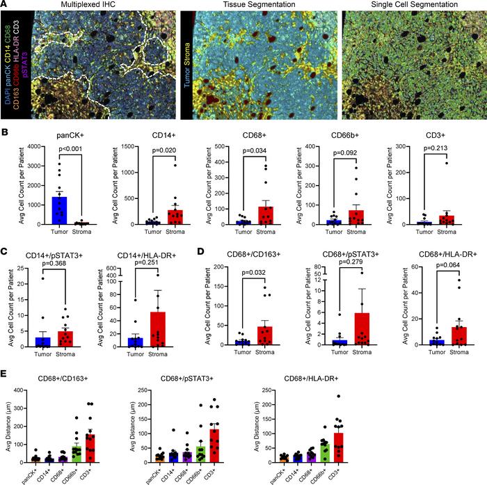 Jci Insight Unique Macrophage Phenotypes Activated By Bmp Signaling