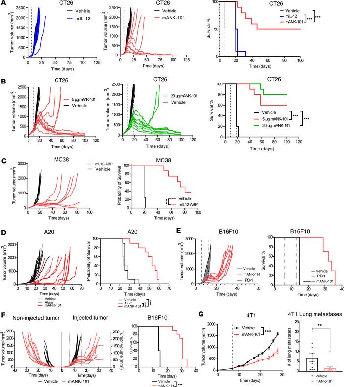 Jci Insight Intratumoral Aluminum Hydroxideanchored Il 12 Drives