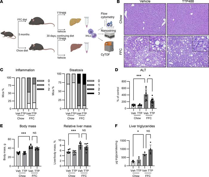 Jci Insight Macrophage Rage Activation Is Proinflammatory In Nash