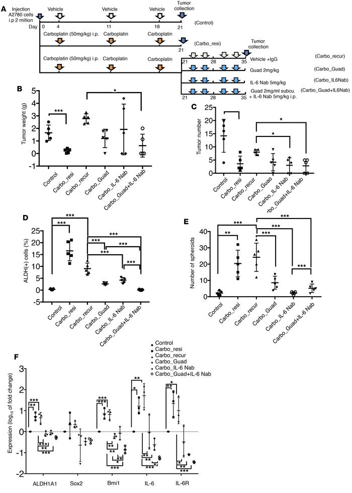 Jci Insight Il 6 Mediates Platinum Induced Enrichment Of Ovarian