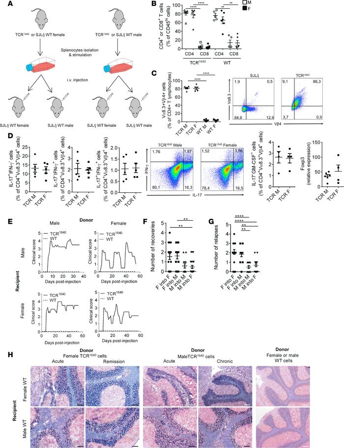 Jci Insight Sex Dependent Factors Encoded In The Immune Compartment