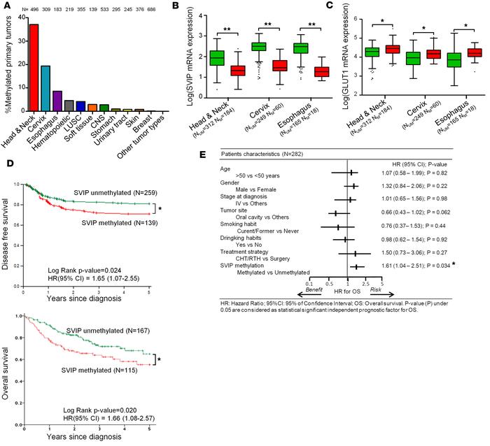 Jci Insight Epigenetic Loss Of The Endoplasmic Reticulumassociated