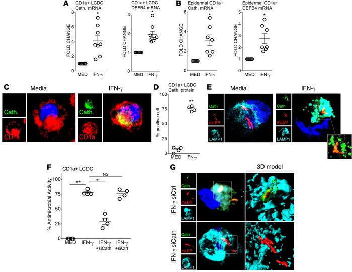 Jci Insight Autophagy Links Antimicrobial Activity With Antigen