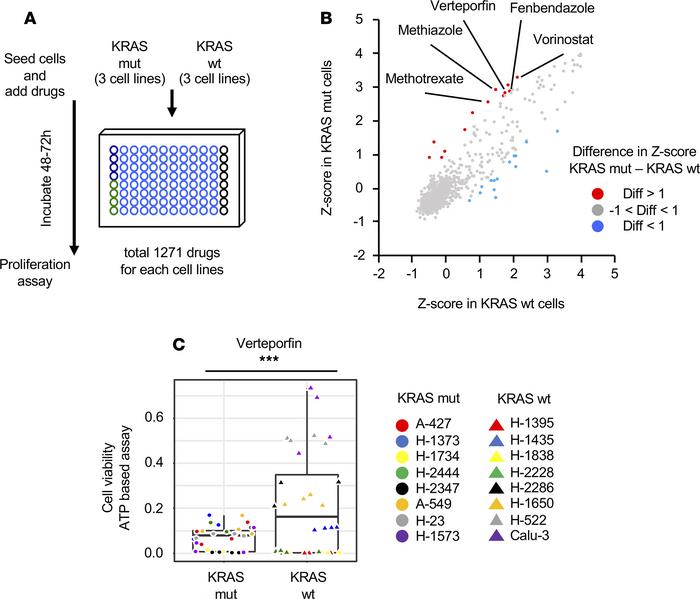 Jci Insight Selective Targeting Of Kras Driven Lung Tumorigenesis Via