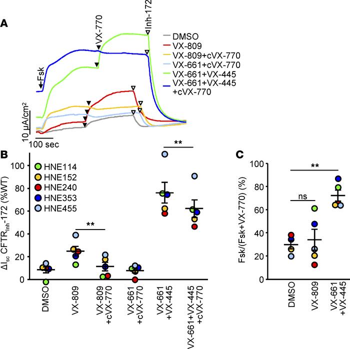 Jci Insight Allosteric Folding Correction Of F508del And Rare Cftr