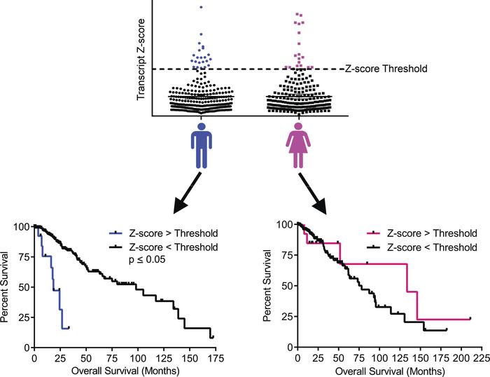 Jci Insight Sexual Dimorphism In Glioma Glycolysis Underlies Sex