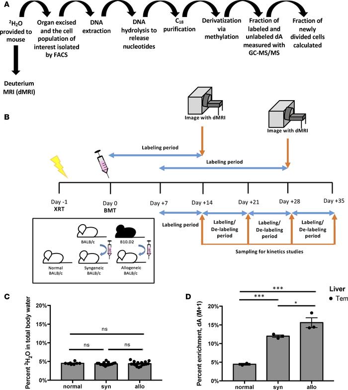 Jci Insight In Vivo Kinetics And Nonradioactive Imaging Of Rapidly