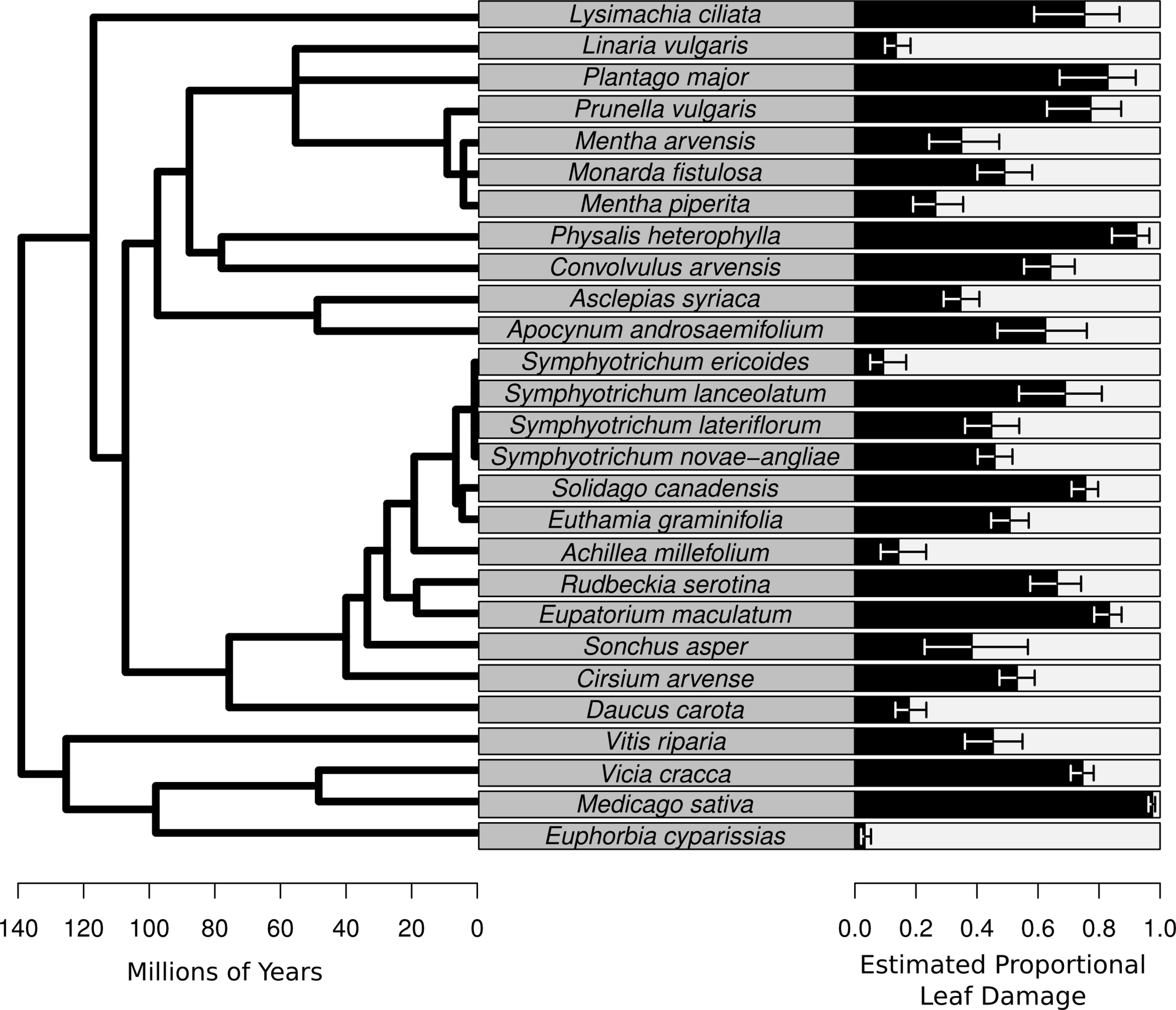 Phylogenetic Diversity Of Plants Alters The Effect Of Species Richness