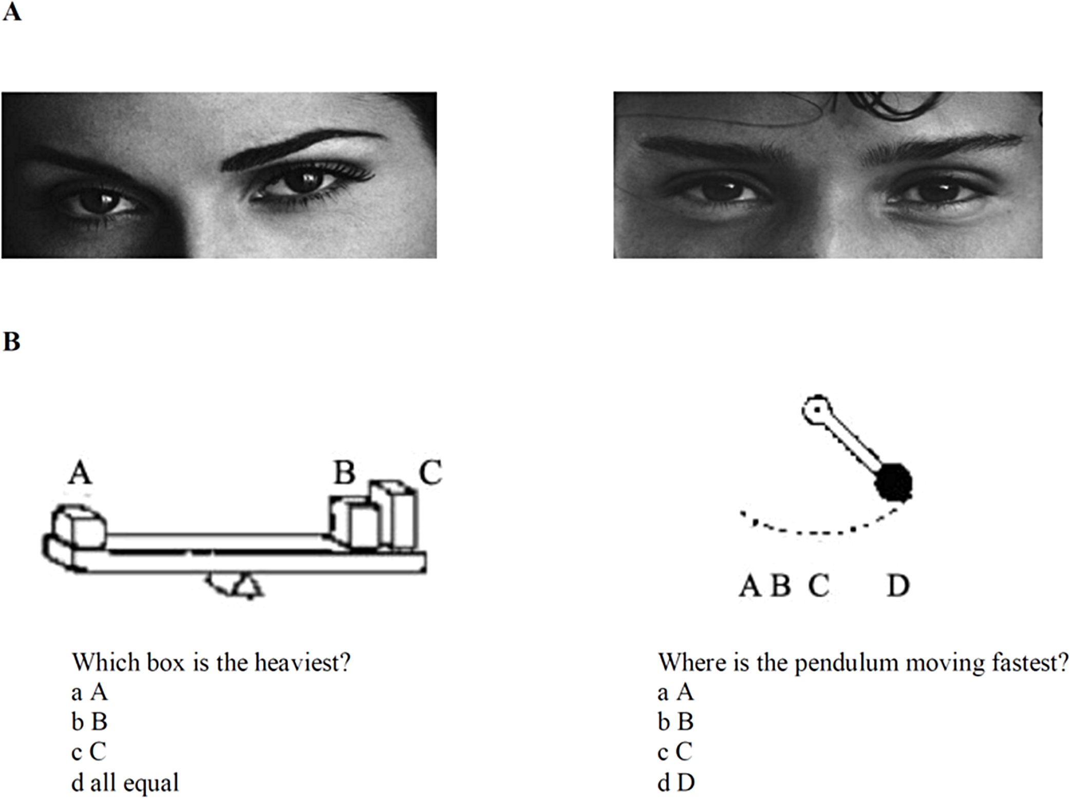 Intuitive Physics And Intuitive Psychology “theory Of Mind” In