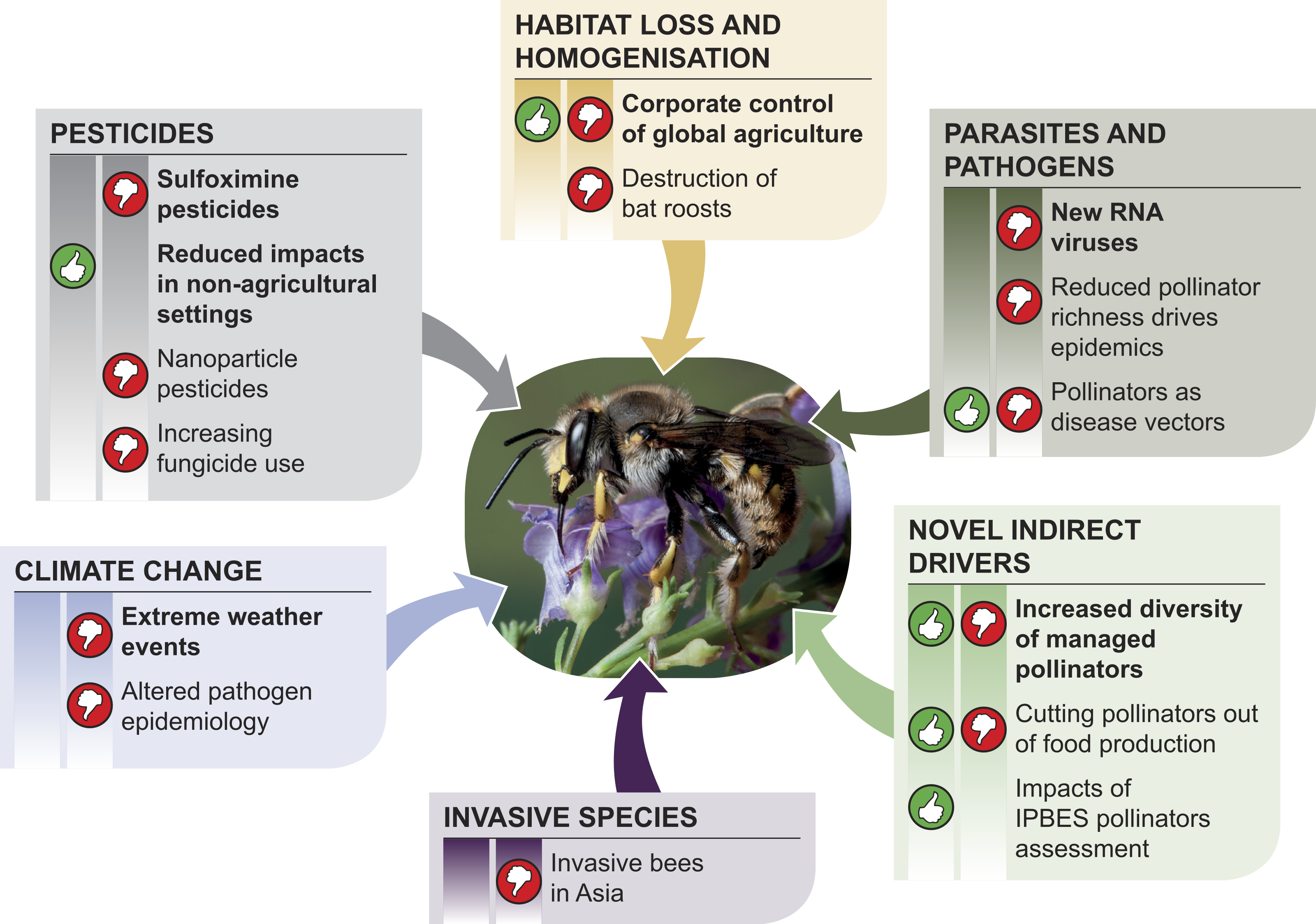 A Horizon Scan Of Future Threats And Opportunities For Pollinators And