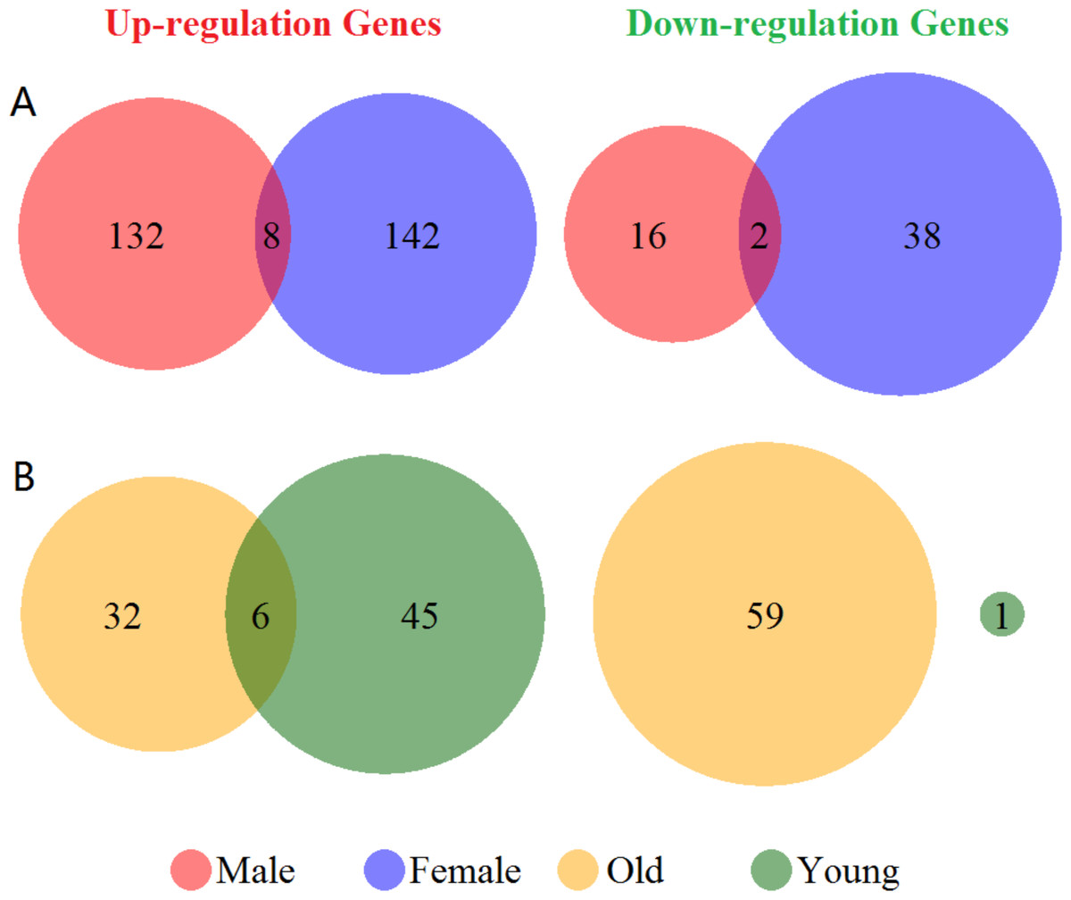 Integrated Analysis Of Ischemic Stroke Datasets Revealed Sex And Age