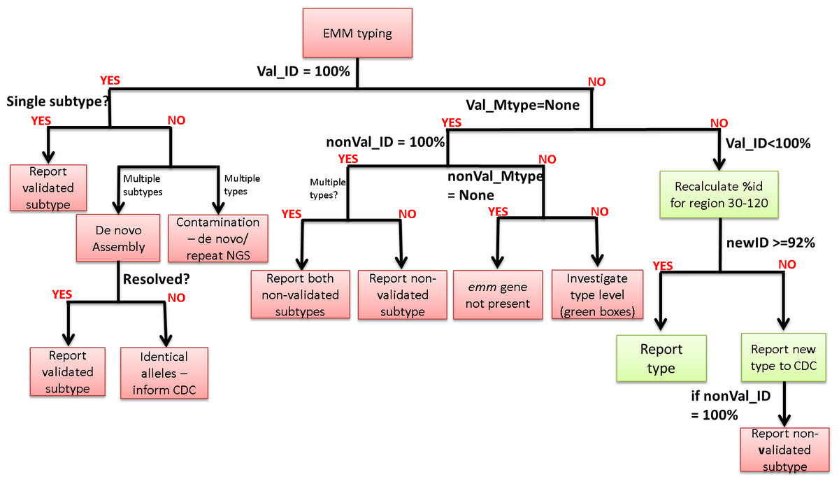 Whole Genome Sequencing Of Group A Streptococcus Development And