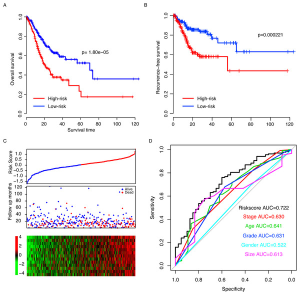 A Gene Expression Based Risk Model Reveals Prognosis Of Gastric Cancer