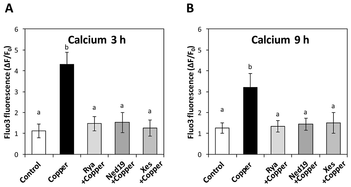 Copper Induced Activation Of Trps And Vdccs Triggers A Calcium