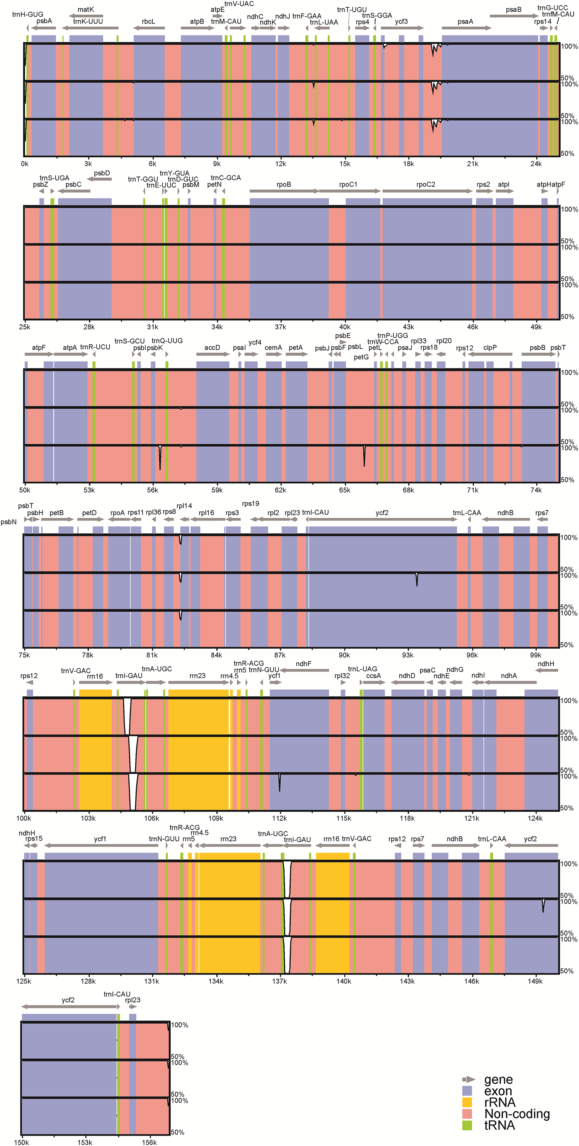 A Comparative Analysis Of The Complete Chloroplast Genome Sequences Of