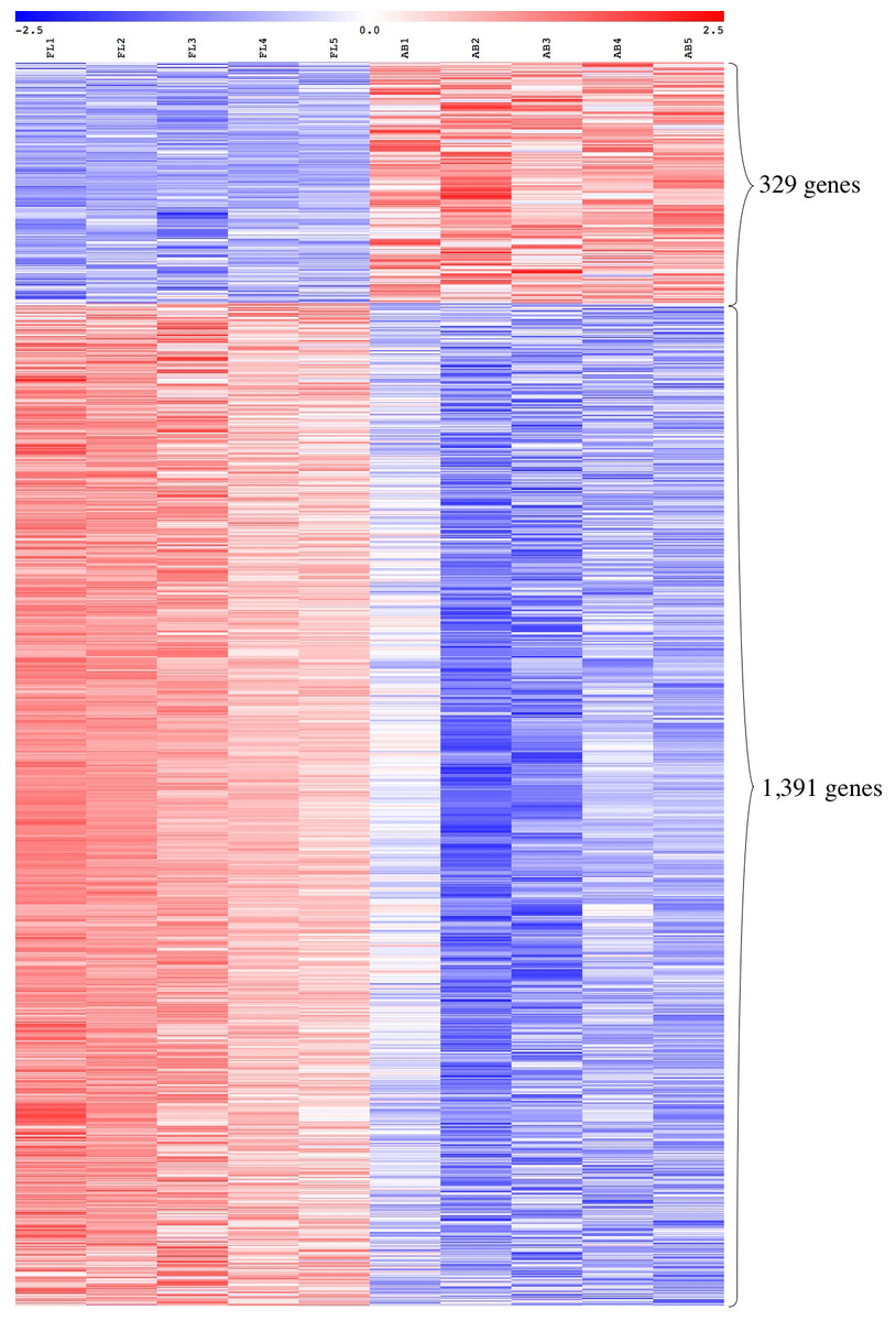 Comparison Of Gene Expression Profiles Between Human Erythroid Cells