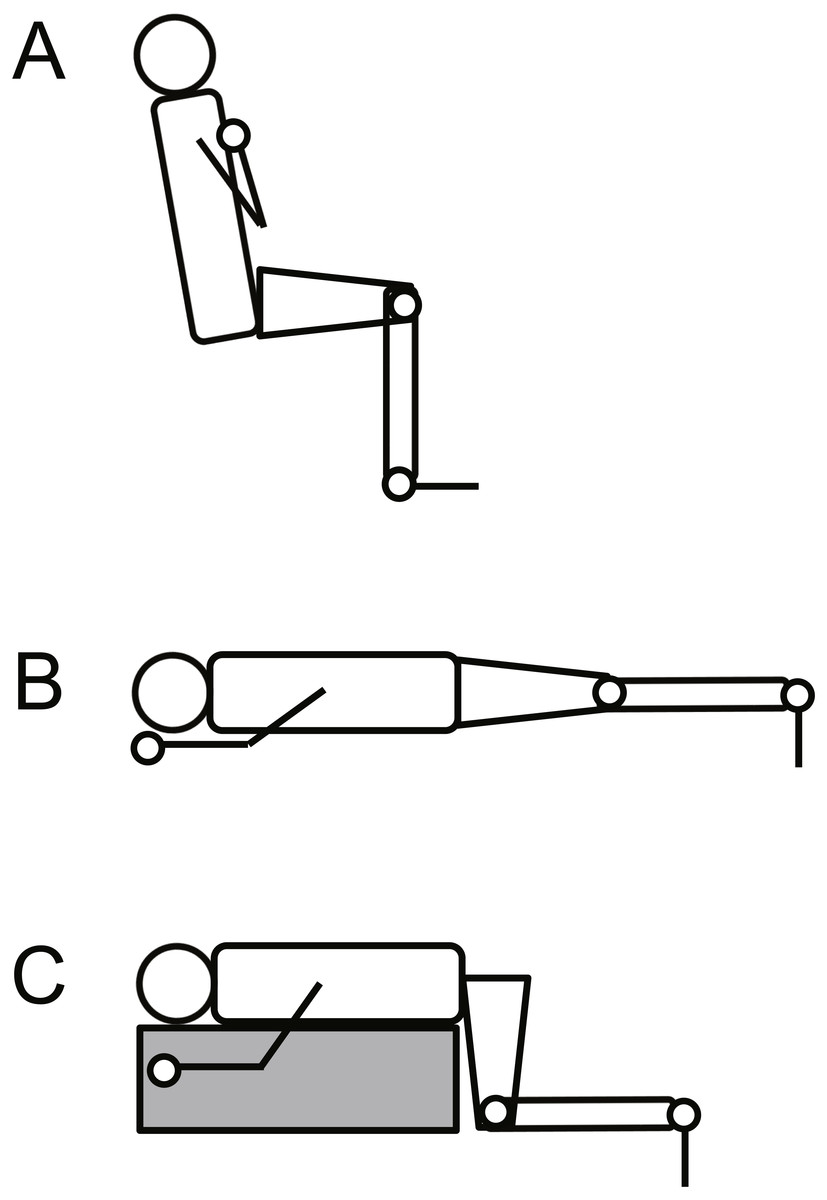 Effects Of Sex And Joint Action On Voluntary Activation Peerj