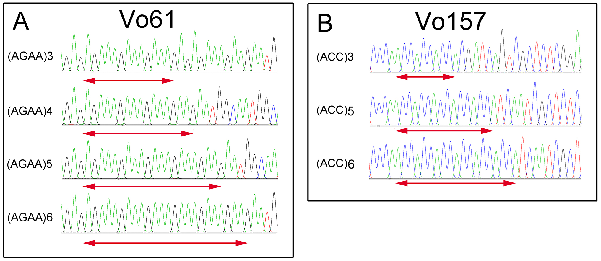 Development Of Polymorphic Est Ssr Markers And Characterization Of The