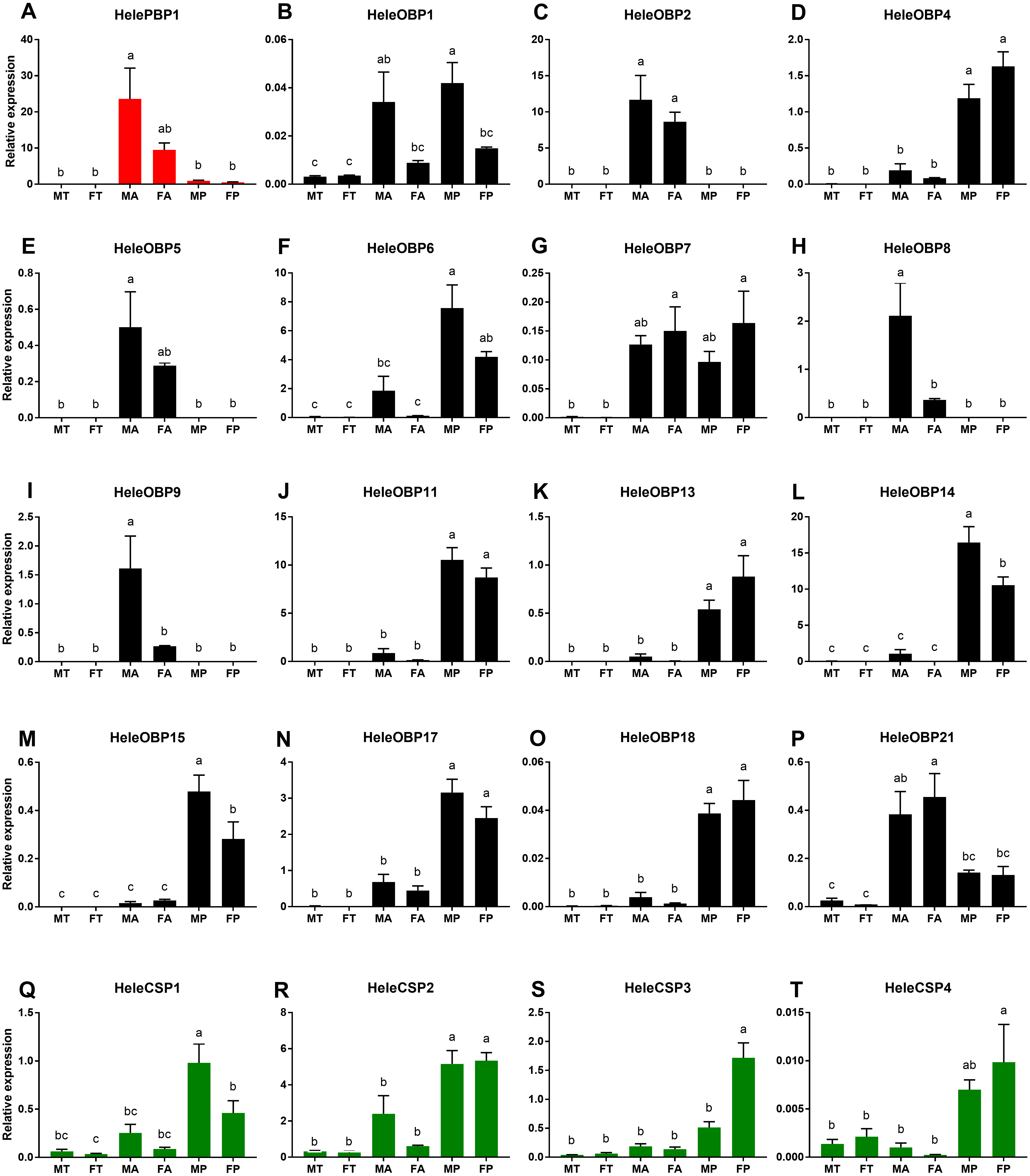 Sex And Tissue Specific Expression Of Odorant Binding Proteins And