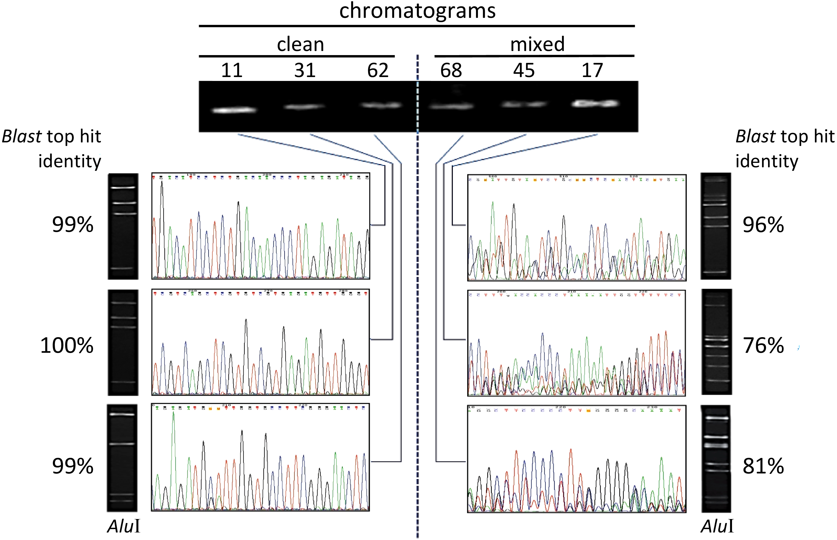 First Tier Detection Of Intragenomic 16s Rrna Gene Variation In