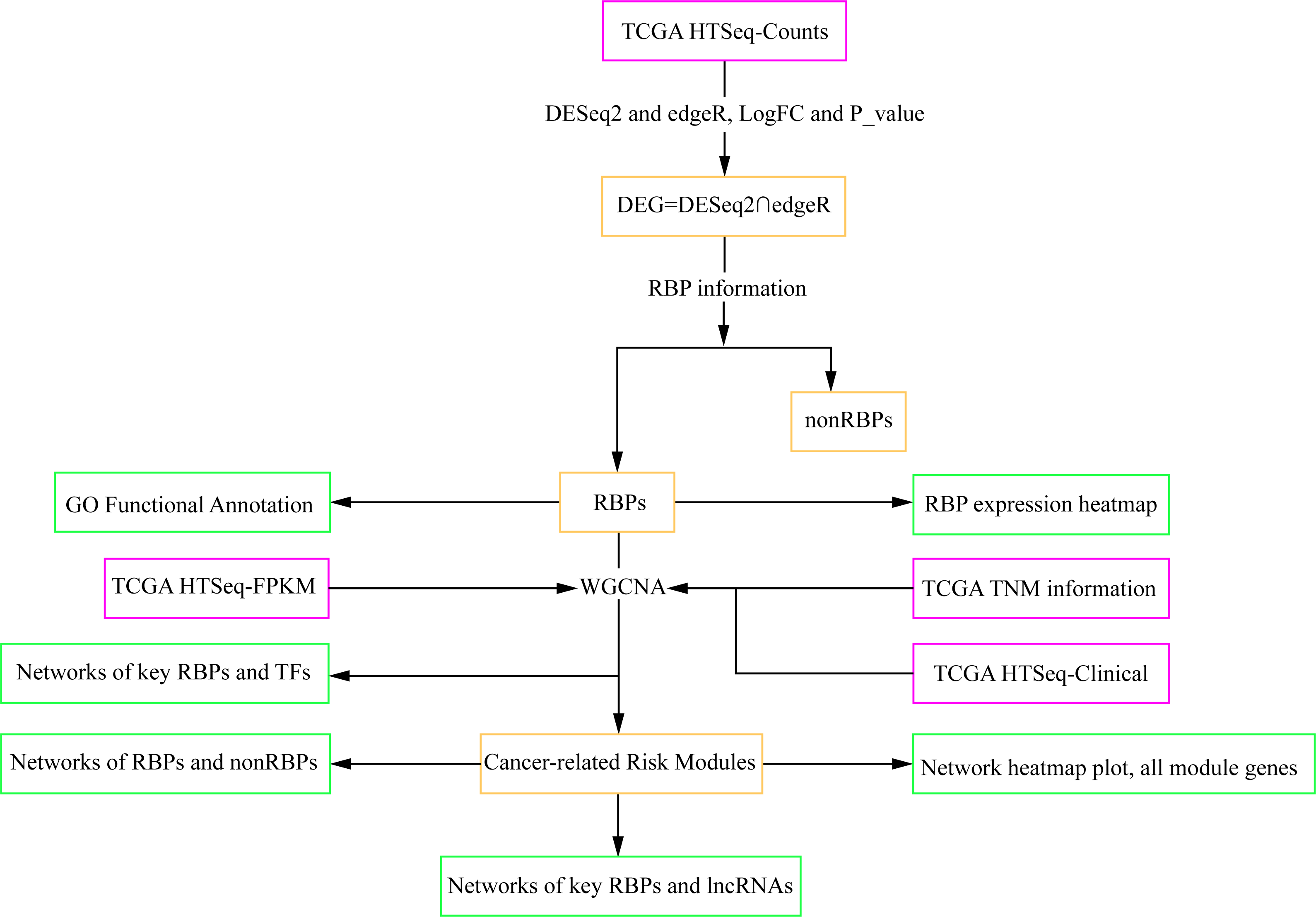 The Co Expression Networks Of Differentially Expressed Rbps With Tfs