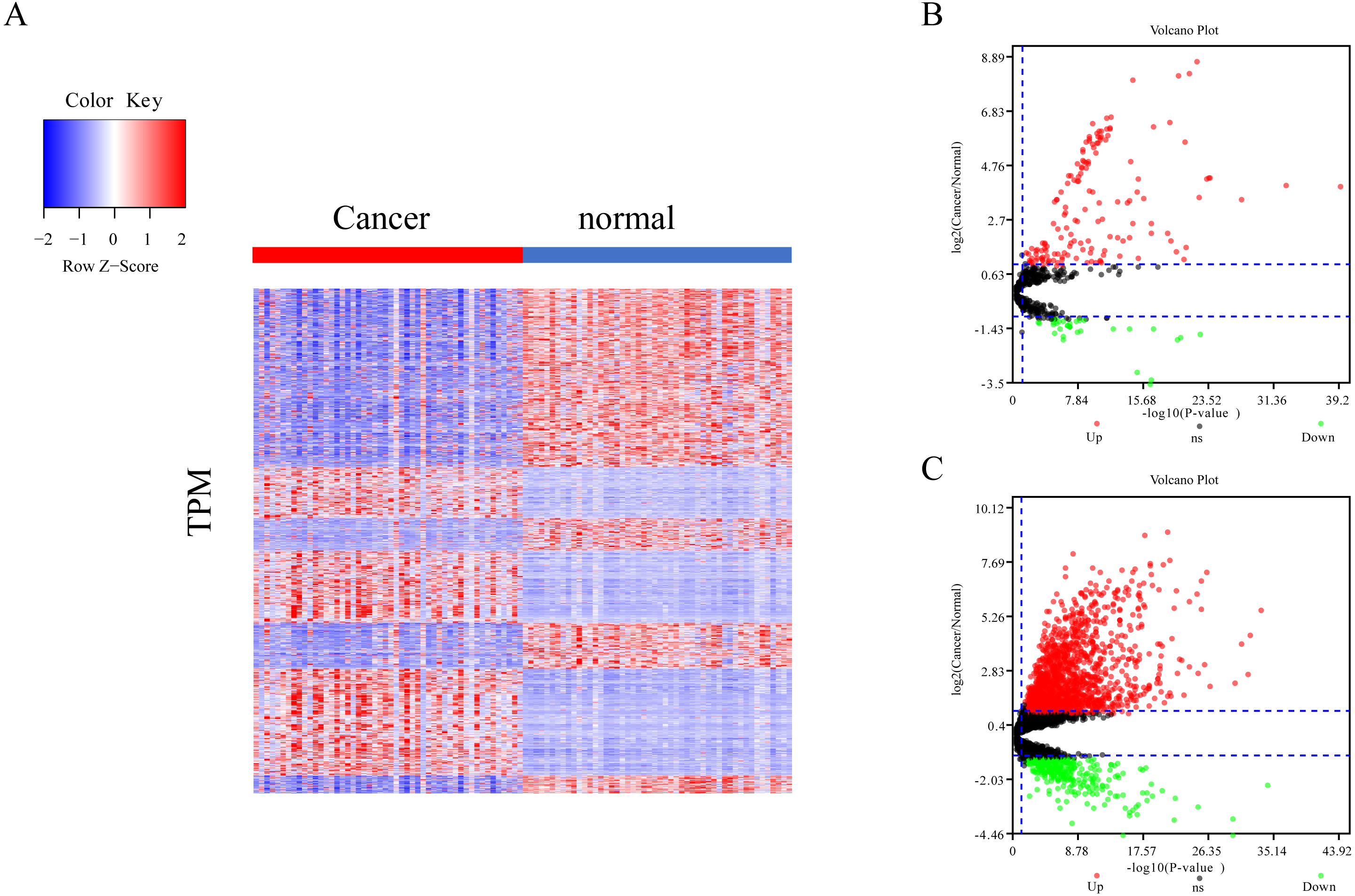 Co Expression Analysis And Cerna Network Reveal Eight Novel Potential