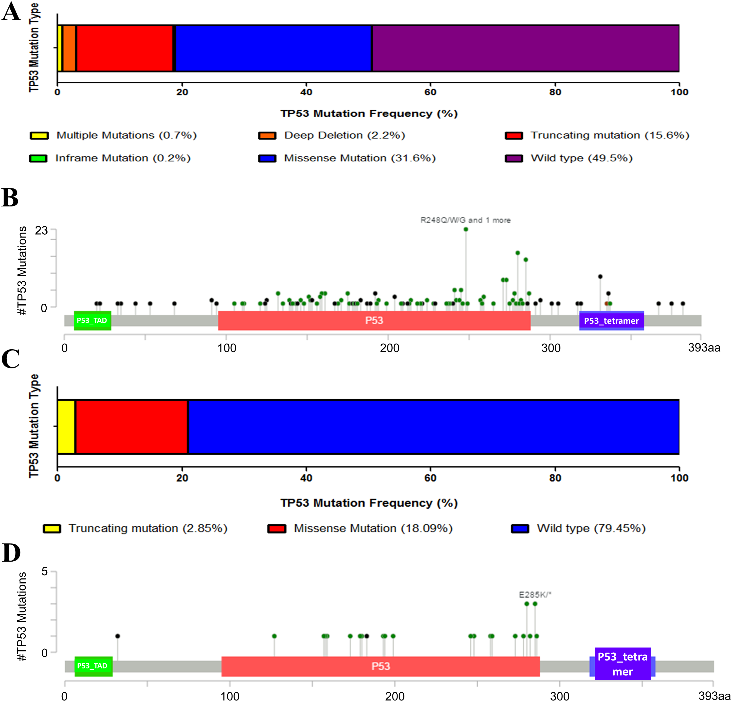 Significance Of Tp53 Mutation In Bladder Cancer Disease Progression And