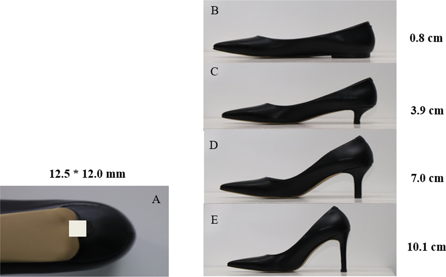 Influences Of Heel Height On Human Postural Stability And Functional