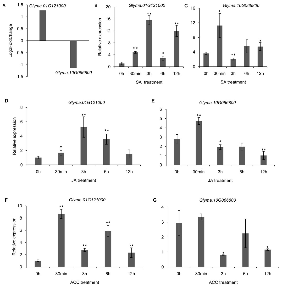 Genome Wide Characterization And Expression Analysis Of Soybean