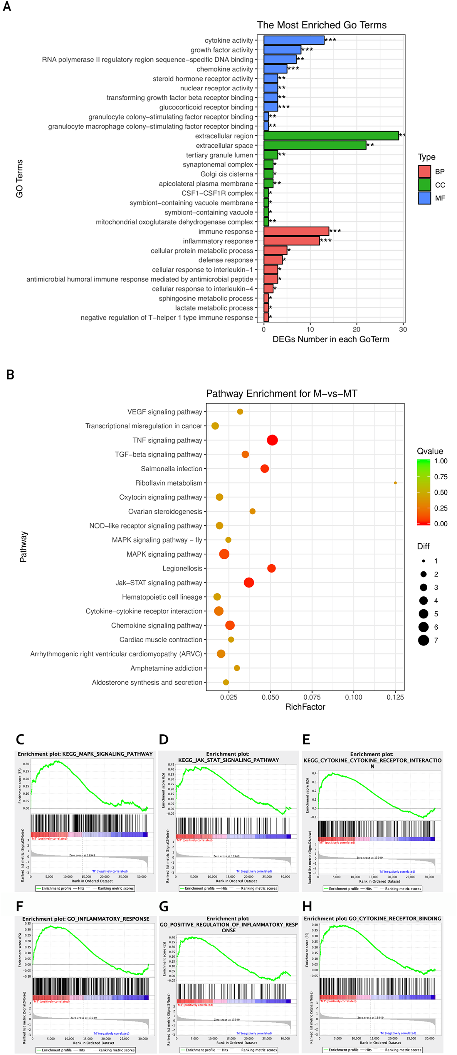 Identification And Analysis Of Lncrna Microrna And Mrna Expression