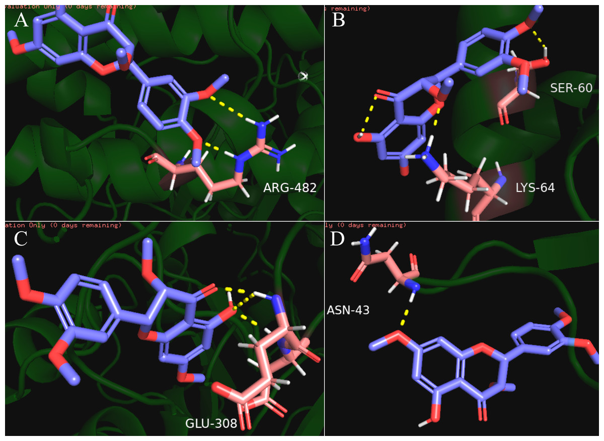 Determining Novel Candidate Anti Hepatocellular Carcinoma Drugs Using