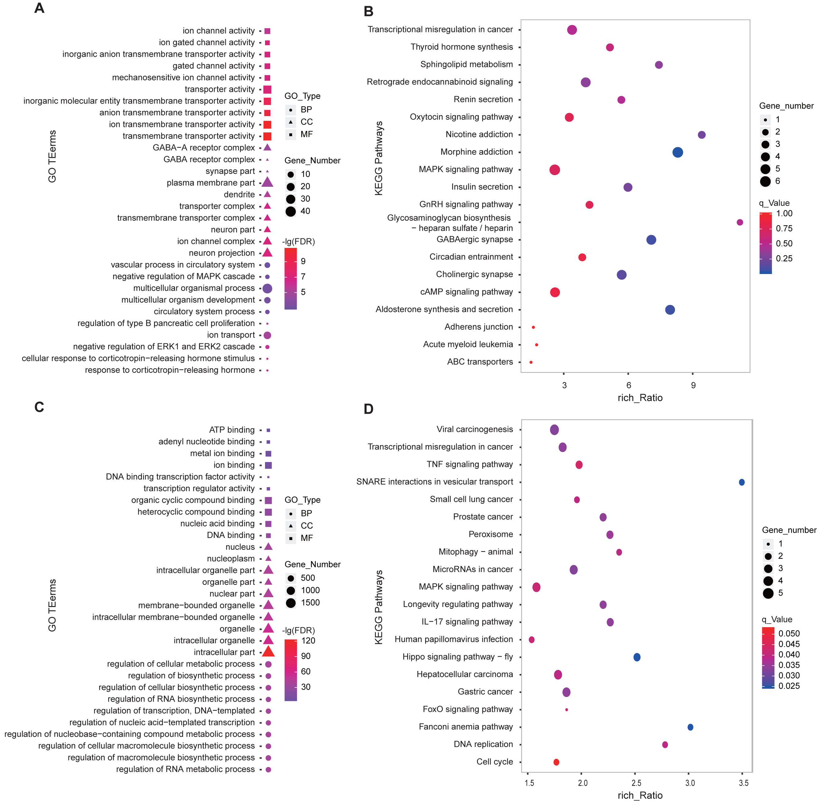 Photoperiod Induced The Pituitary Differential Regulation Of Lncrnas