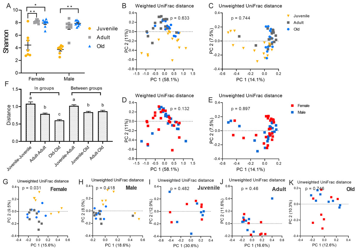 Sex And Age Specific Variation Of Gut Microbiota In Brandts Voles Peerj