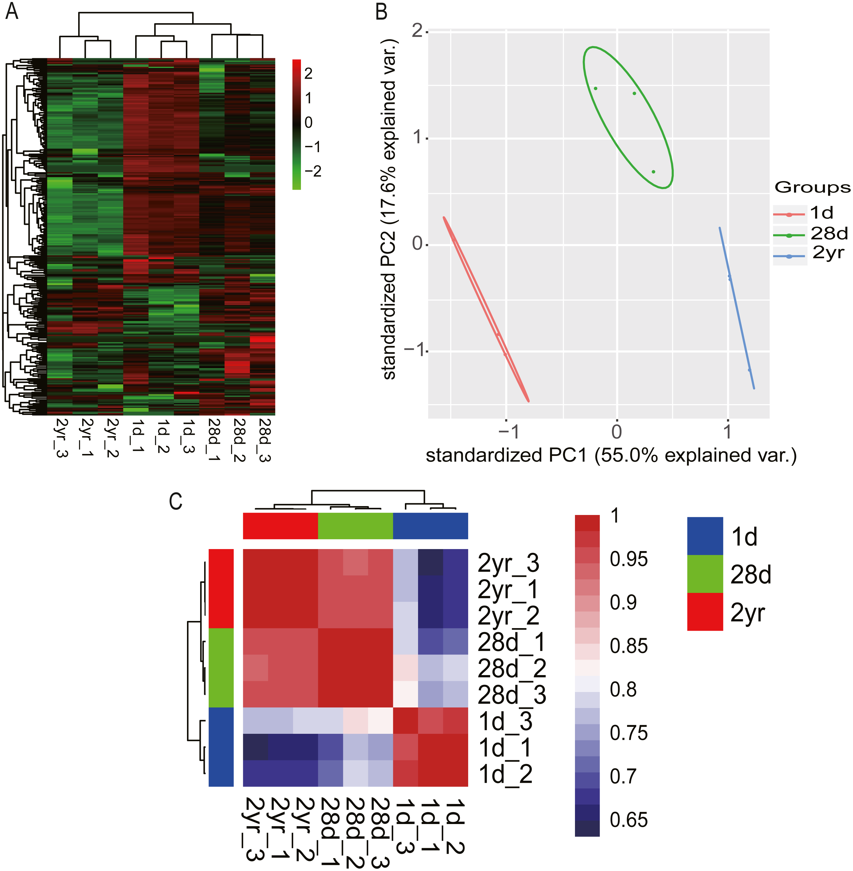 Identification And Expression Pattern Analysis Of Mirnas In Pectoral