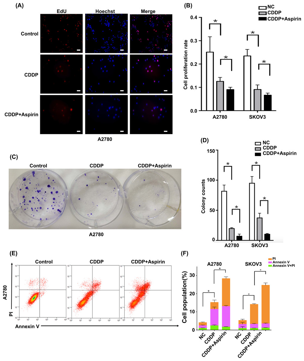 Aspirin Inhibits Tumor Progression And Enhances Cisplatin Sensitivity