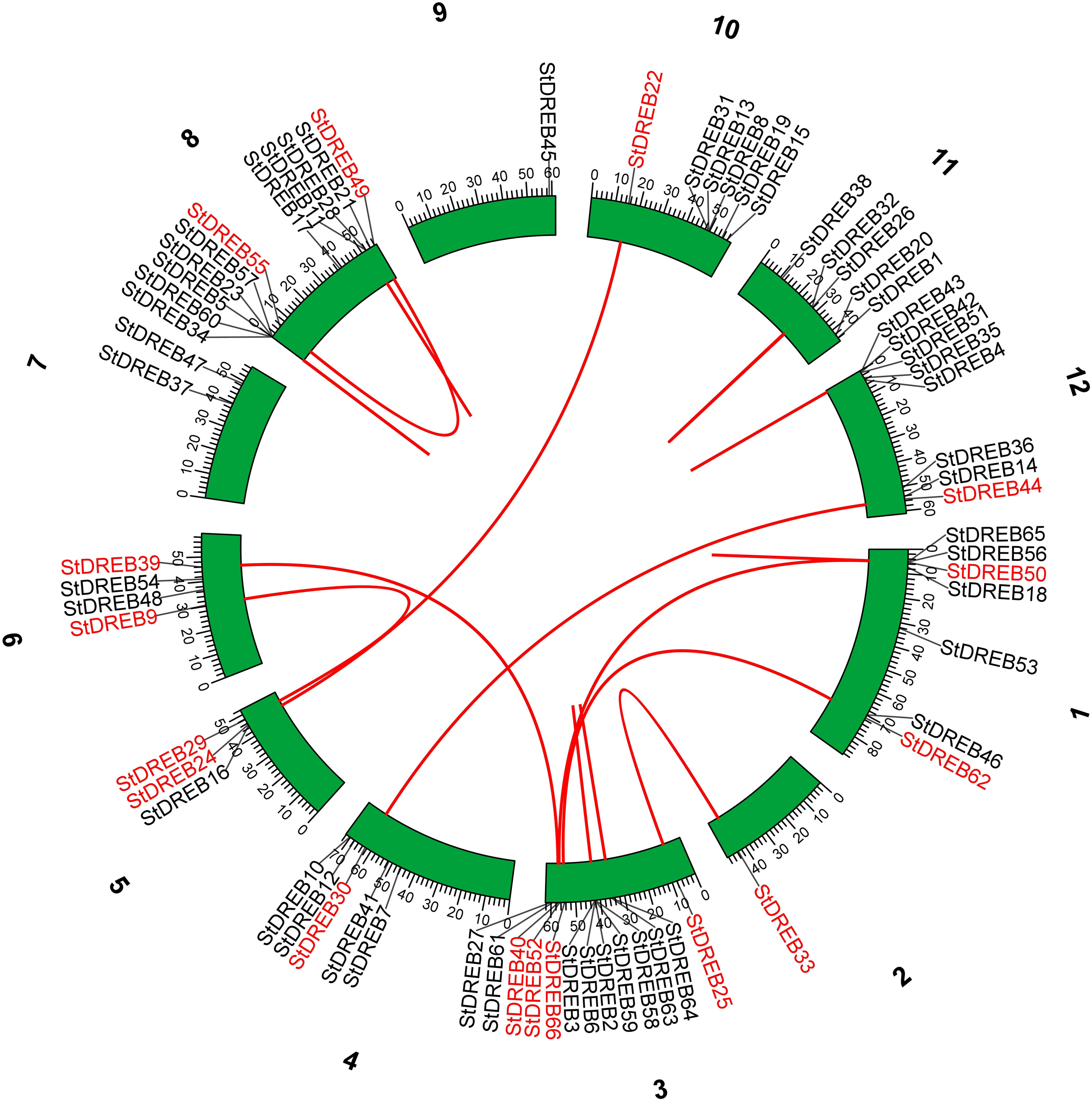 Genome Wide Analysis Identification Evolution And Genomic